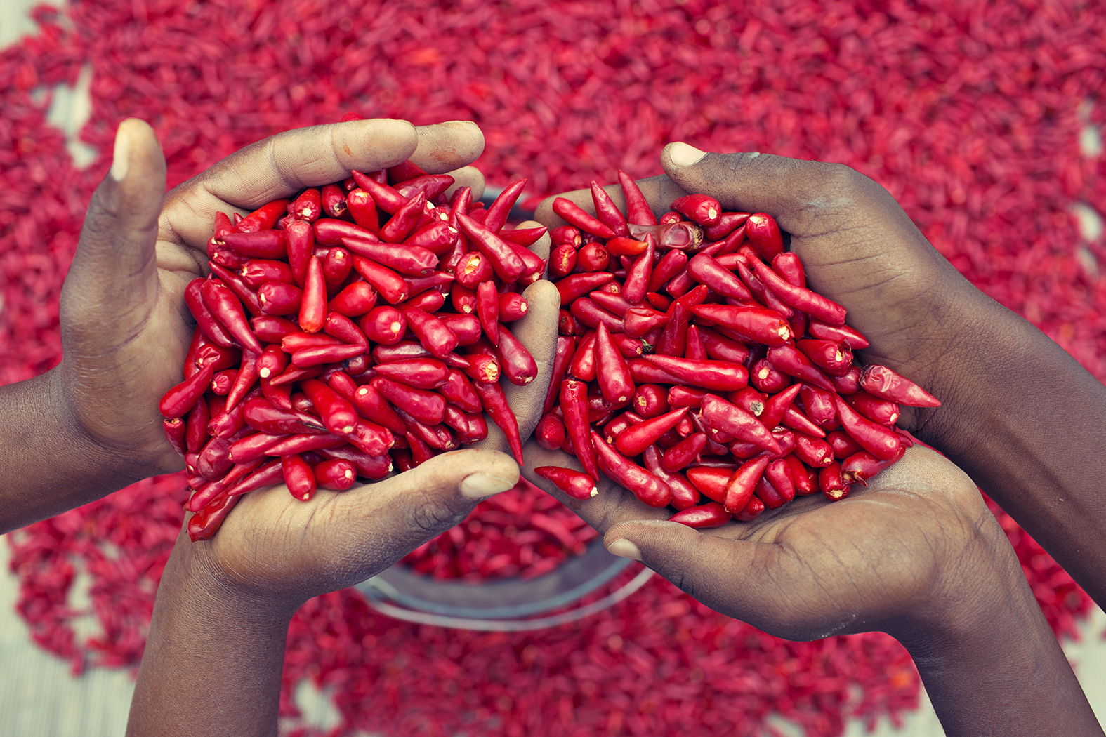 This is PERi-PERi – Nando's Malaysia